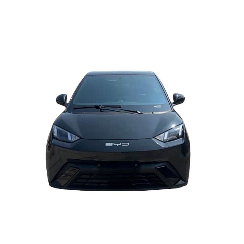 Sell Well Price Adults BYD Seagull 2023 Model - Free Edition Flight ...