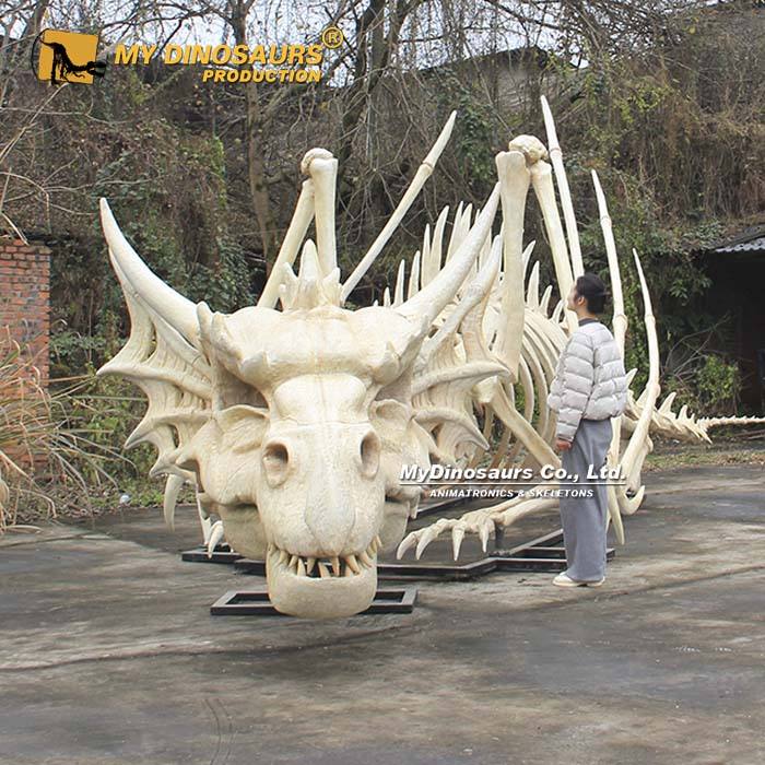 MyDino Giant Dragon Skeleton for Exhibition| Alibaba.com