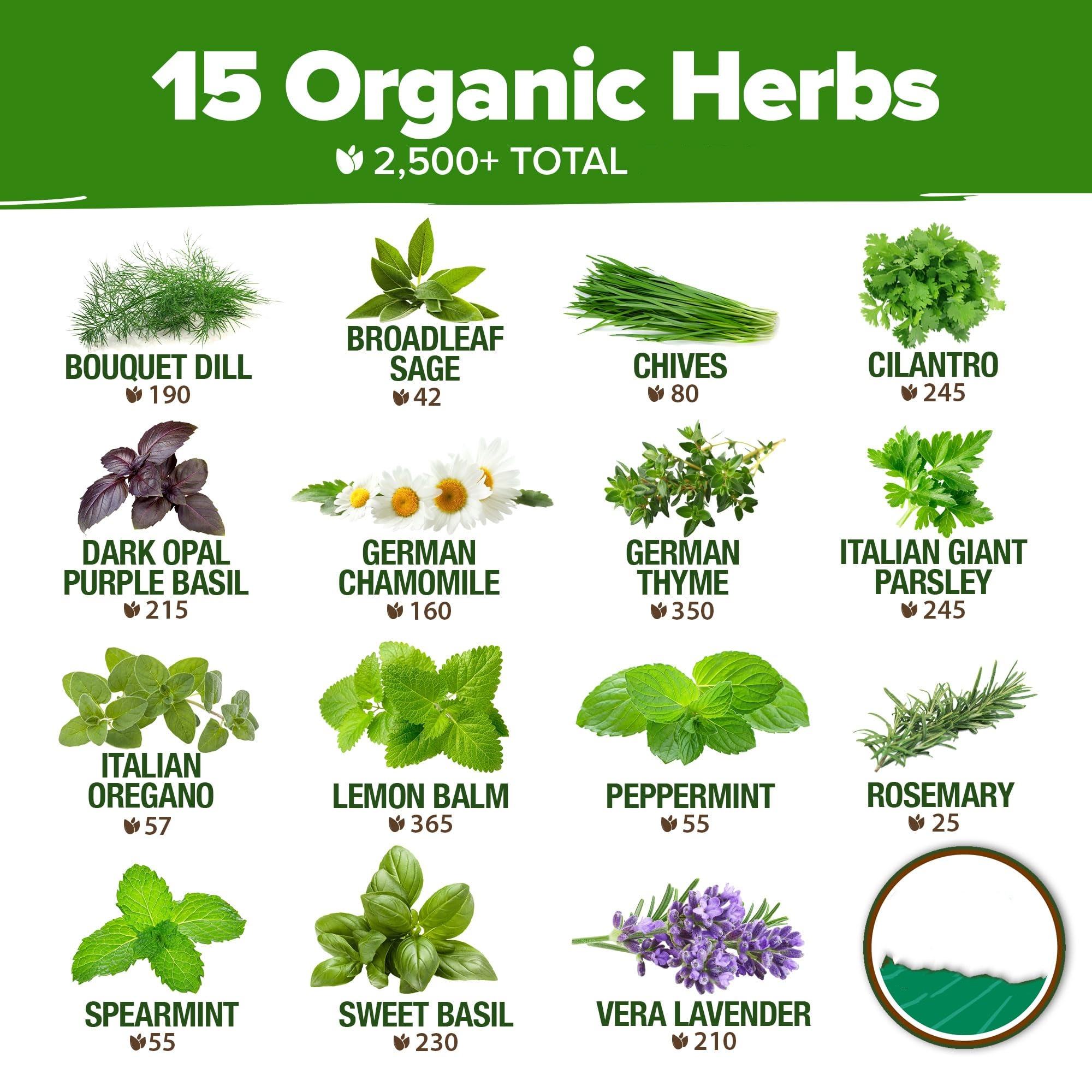 How to Choose the Best Garden Herb Seeds for Your Home Garden