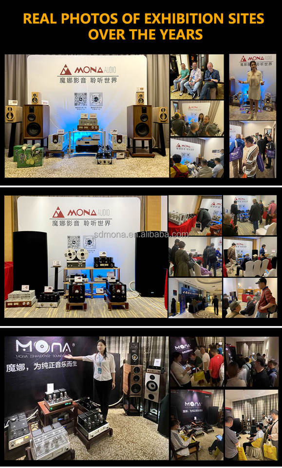 MONA Custom Model MN210-MU Digital Home Amplifier with Aluminium ...