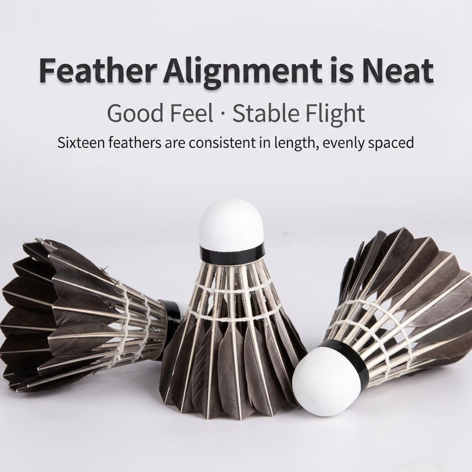 Black Durable Windproof Shuttlecocks, Suitable for Adults, Students ...