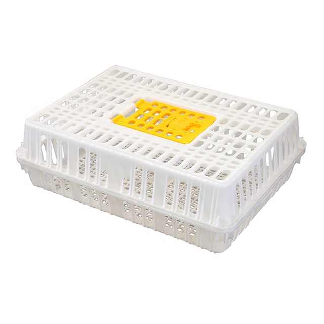 Plastic Crates Broiler Hens Chicken Transport Cage| Alibaba.com