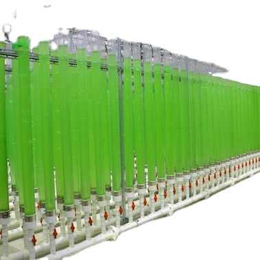 Microalgae Photobioreactor - Efficient & Reliable Solutions