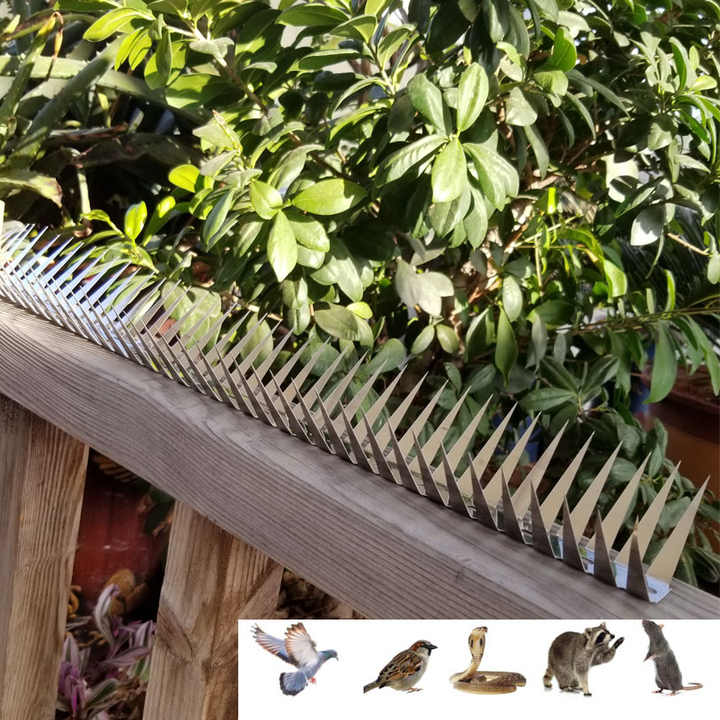 Stainless Steel Rat Spikes| Alibaba.com