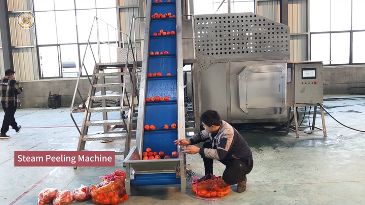 Steam Papaya - Efficient Peeling Machine for Vegetables