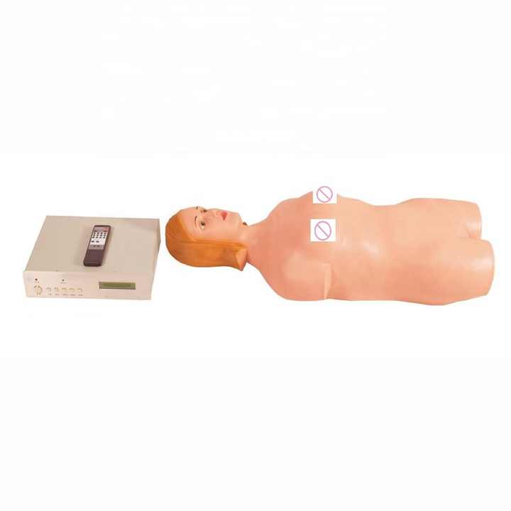 Abdominal Palpation Manikin - Physical Examination Model