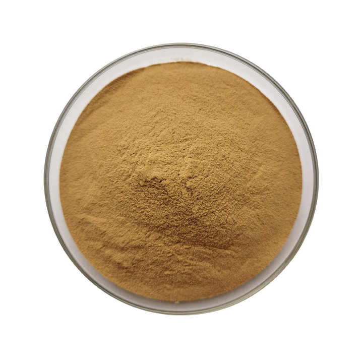 High Quality Fructus Viticis - Chaste Tree Berry Extract