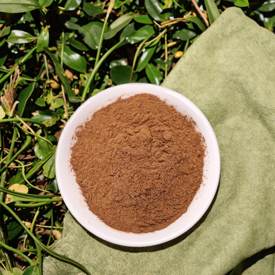 Swt Ceylon Cinnamon Powder Wild Cold Pressed Vitamin-Rich Food Grade ...