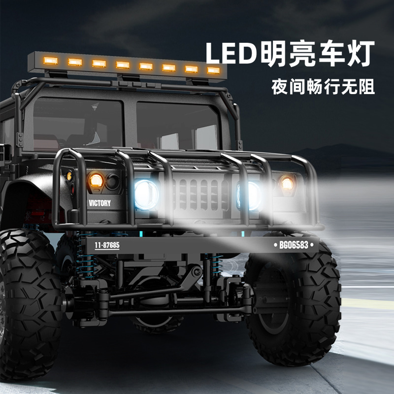 How to Choose the Best Big Size RC Car for Your Needs