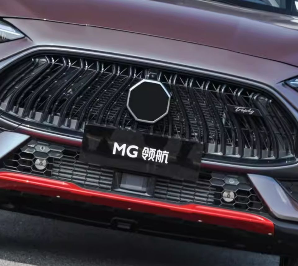 Front Grill for MG HS LINGHANG 2021-2023 | Black+Silver ABS Grille ...