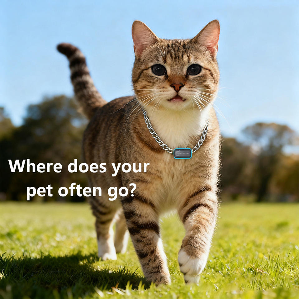 Prime GPS Tracker Daily Movement Recorder Anti-Lost Device for Home Pet ...