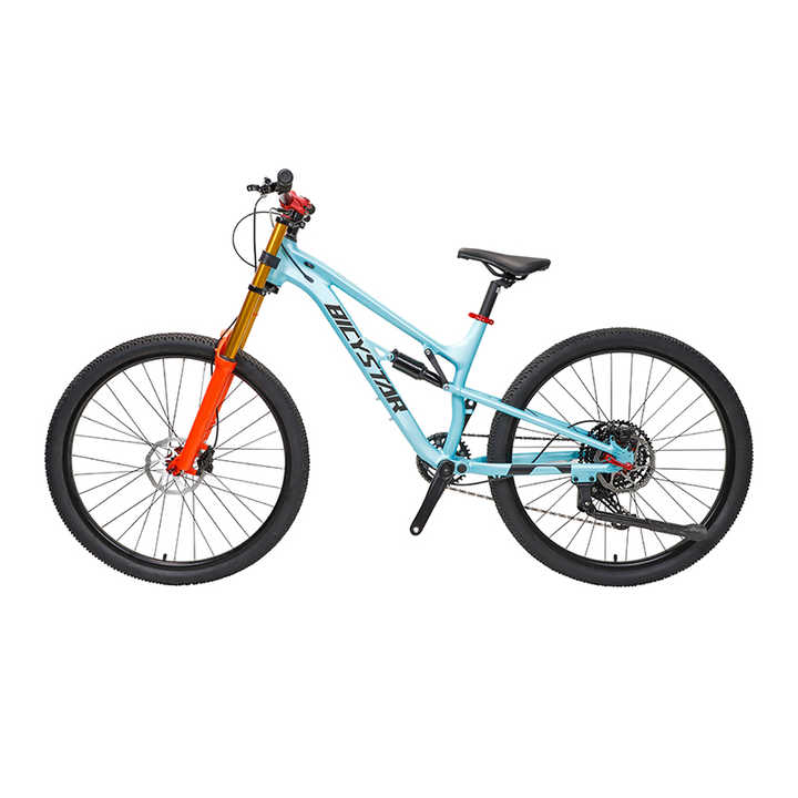 Sta Cruz Mountain Bike 29ers - Full Suspension MTB Frame