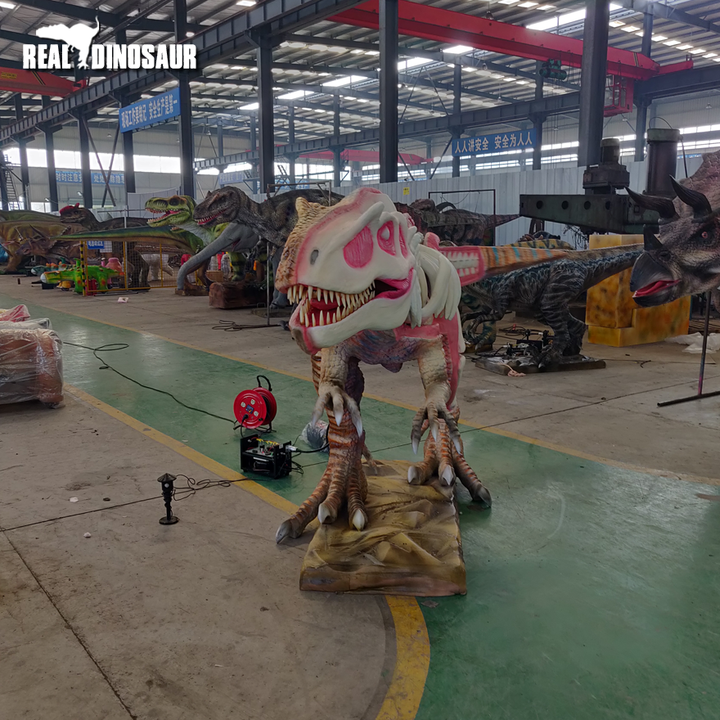 Natural History Museum Half Body Dinosaur T-Rex Skeleton