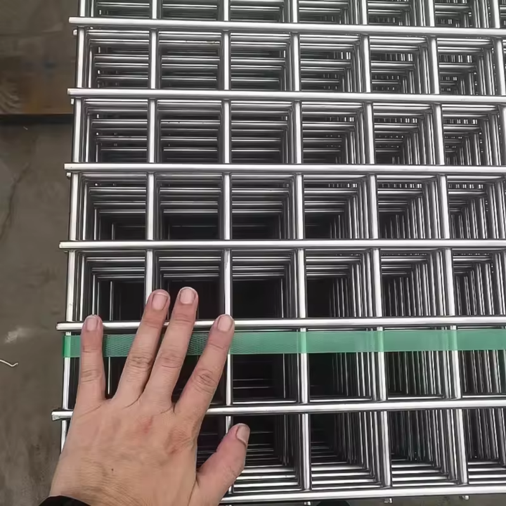 50 X 50mm Galvanized Steel Weld Wire Mesh Panels for Gardening