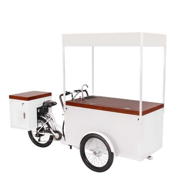 230L Freezer Ice Cream Bike - Perfect for Mobile Business