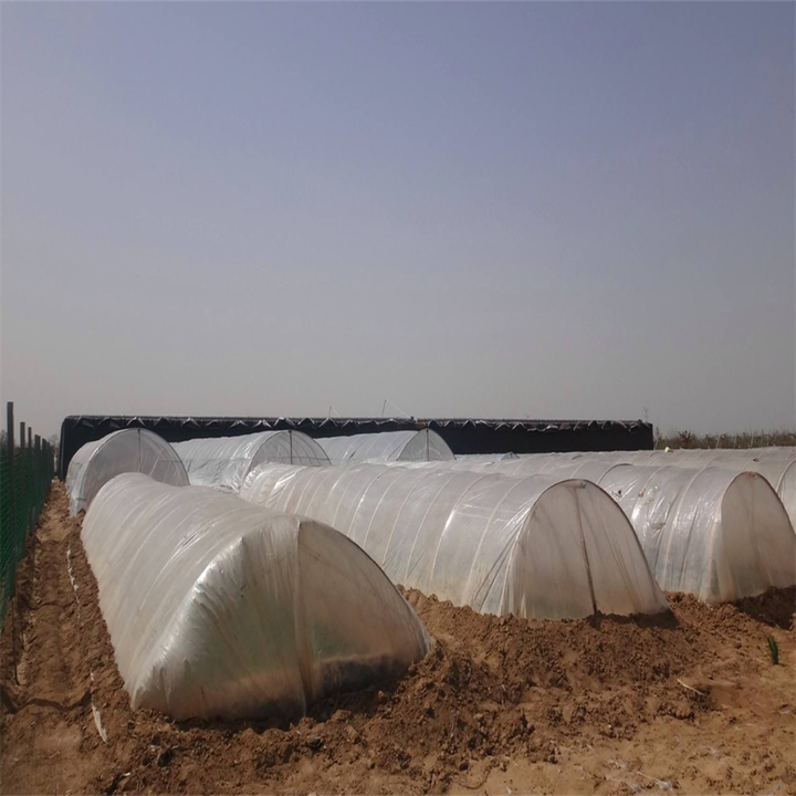 Suntex Seedling Shed Film - UV Stabilized Polyethylene
