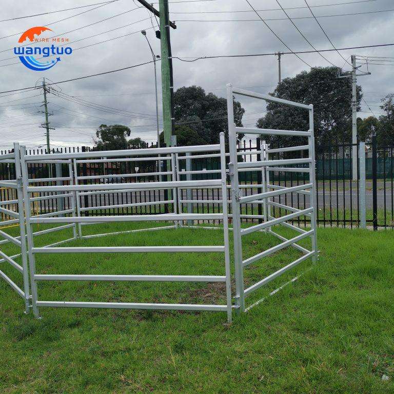 Livestock & Farm Animals Fencing with Portable Galvanized Metal Cattle ...