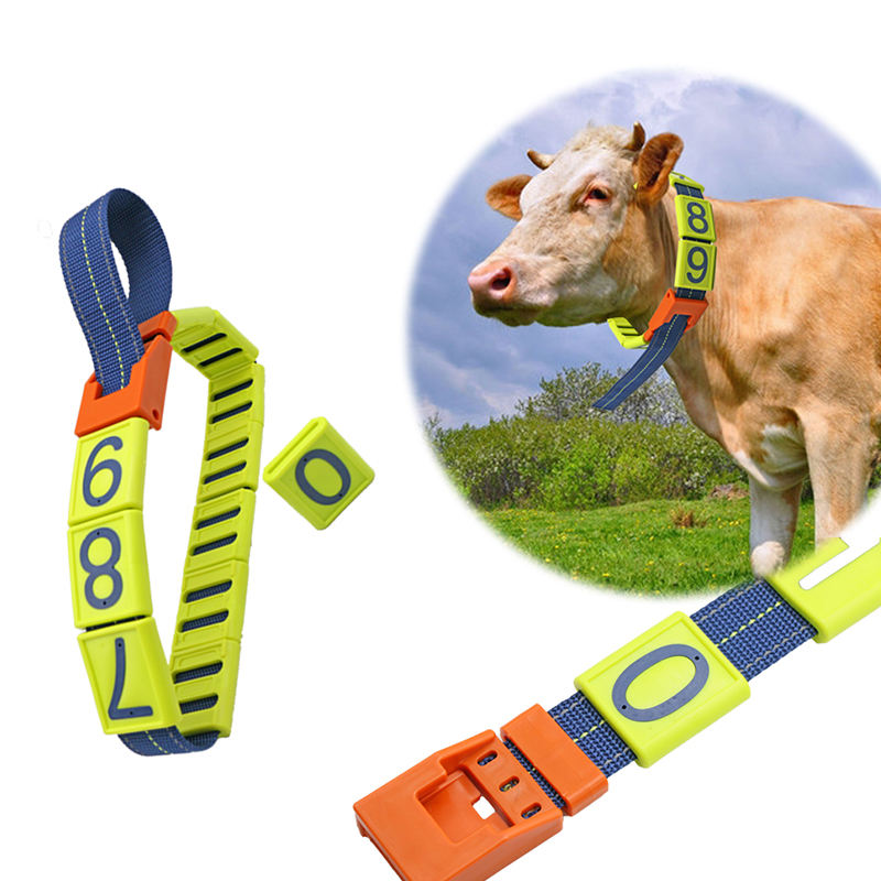 Reflective Cattle Collar with Number - Tracking & Management