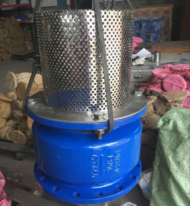 DN200 Foot Valve with Stainless Steel Filter for Water Protection