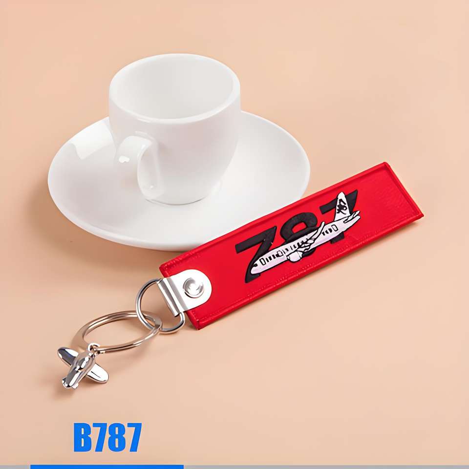Airbus A320 Aircraft Model A380 Metal Tail Keychain Color Embroidery ...