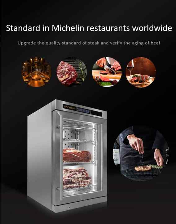 Raching New Dry-aged Steak Cabinet Beef Dry Aging Machine for bar and ...