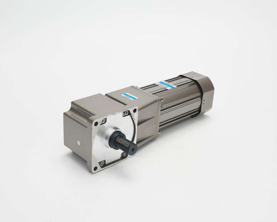 Taili 300W AC Right Angle Shaft Induction Micro Gear Motor