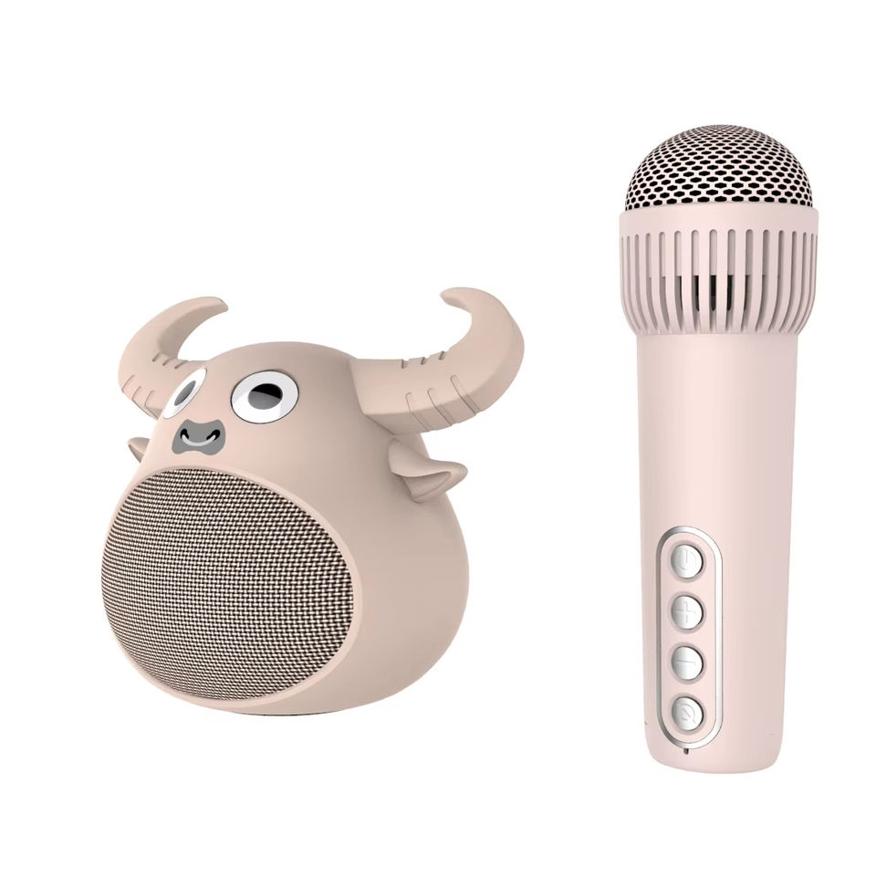 OEM Ox Portable Karaoke Speaker with One Wireless Microphone Cute ...