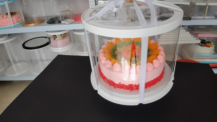 White Clear Round Plastic Transparent Cake Box - Perfect for Gift Packaging