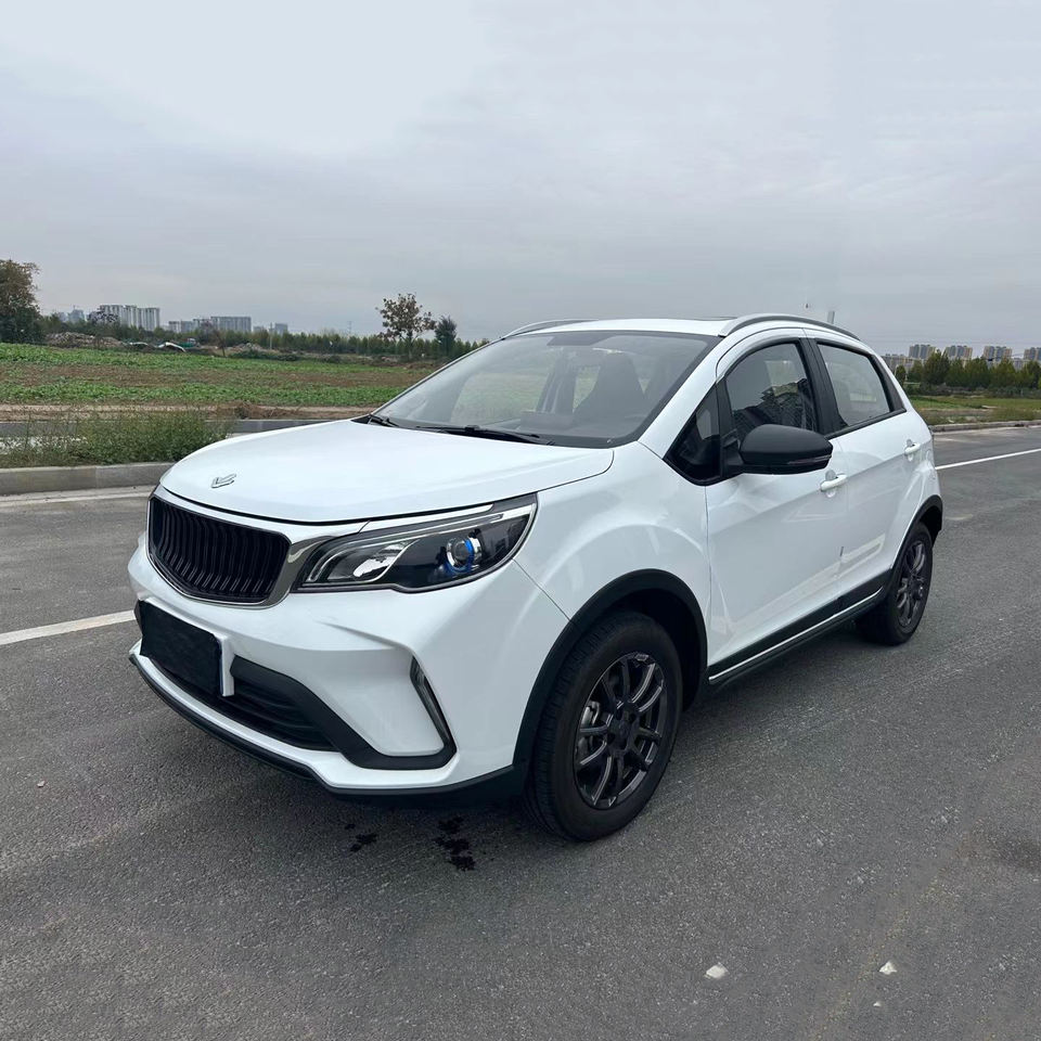 Livan X3 Pro 2026 with Sunroof - Compact SUV Power & Style