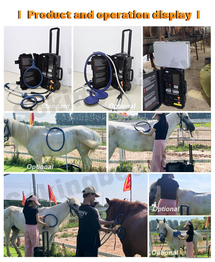 PEMF Therapy Therapy Device THZ Tera P90 Tera Hertz Foot Massager ...