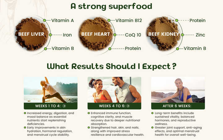 Healthife New Zealand Beef Pancreas Supplements Grass Fed Bovine ...