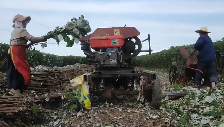 Fresh Kenaf Manila Hemp Decorticator Machine - Easy to Operate