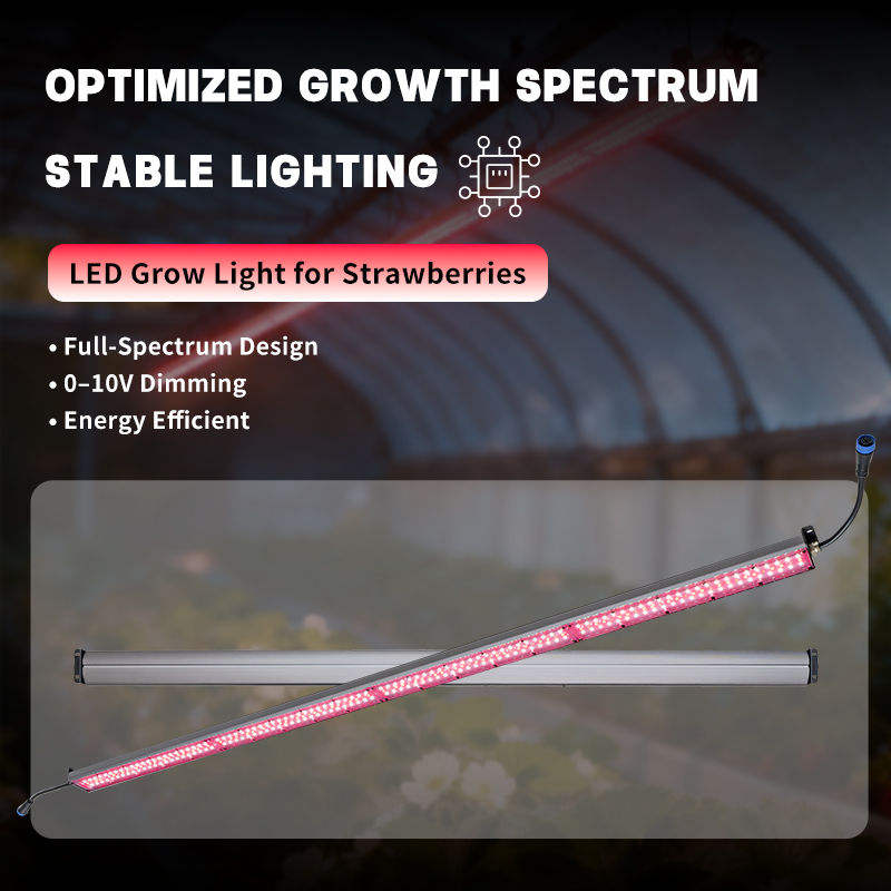 For 110W IP65 COB LED Full Spectrum Waterproof Grow Light Kits with 5 ...