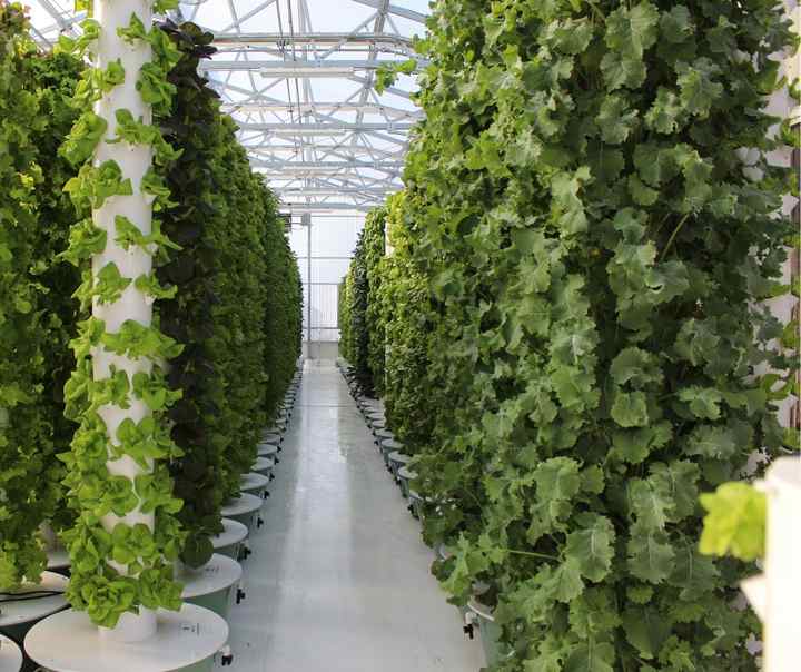 Column Hydroponic Aeroponic Planting Systems Greenhouse Plant Vertical ...