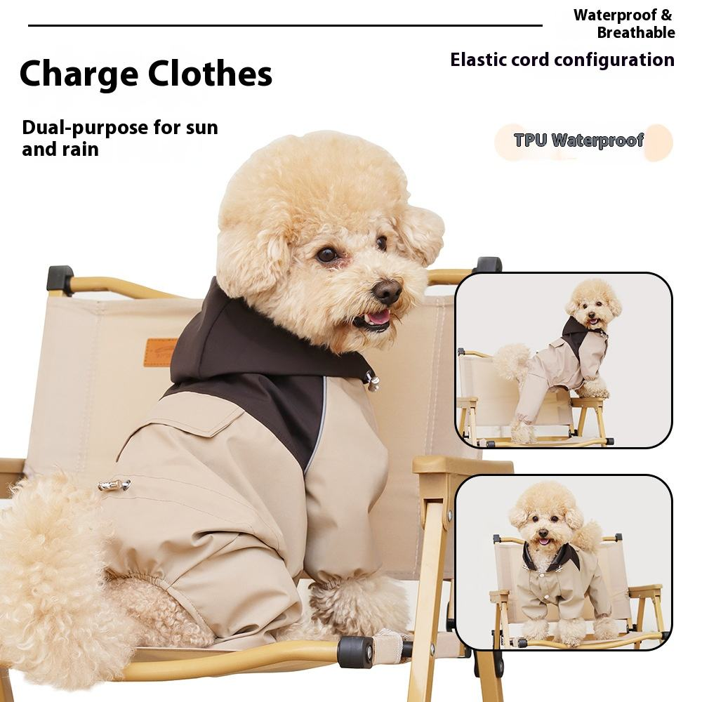 How to Choose the Best Hooded Jackets for Dogs: A Complete Buying Guide