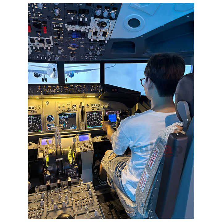 Boeing 737 Flight Simulator for Professional Training and Teaching ...