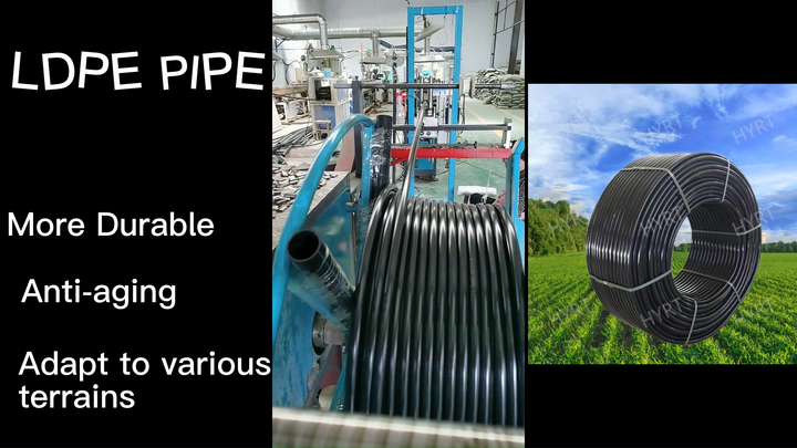 Poly Pipe Irrigation PE Pipe PE Tube for Agricultural Irrigation System ...
