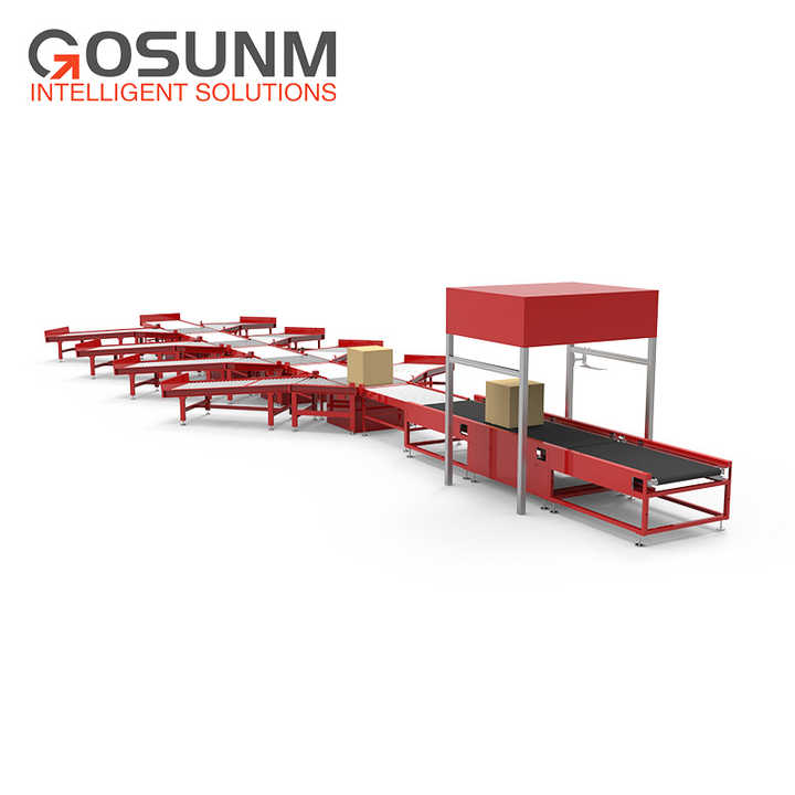 Custom Intelligent DWS + Sorting System for Precise Package Handling