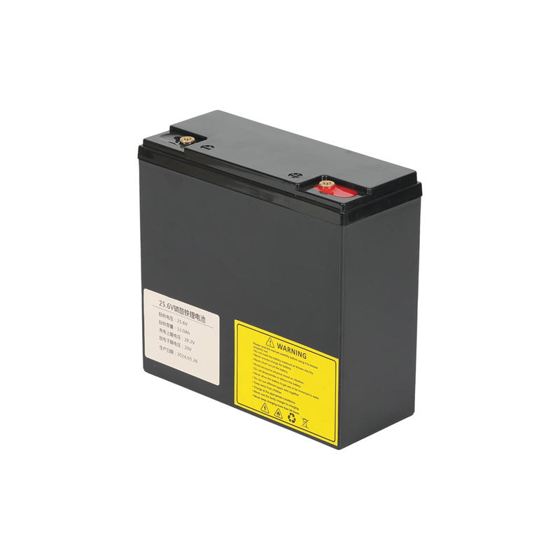 Lifepo4 Battery Smart Bms 25.6v 12Ah 20Ah 30Ah 4s6p OEM Hardcase ...