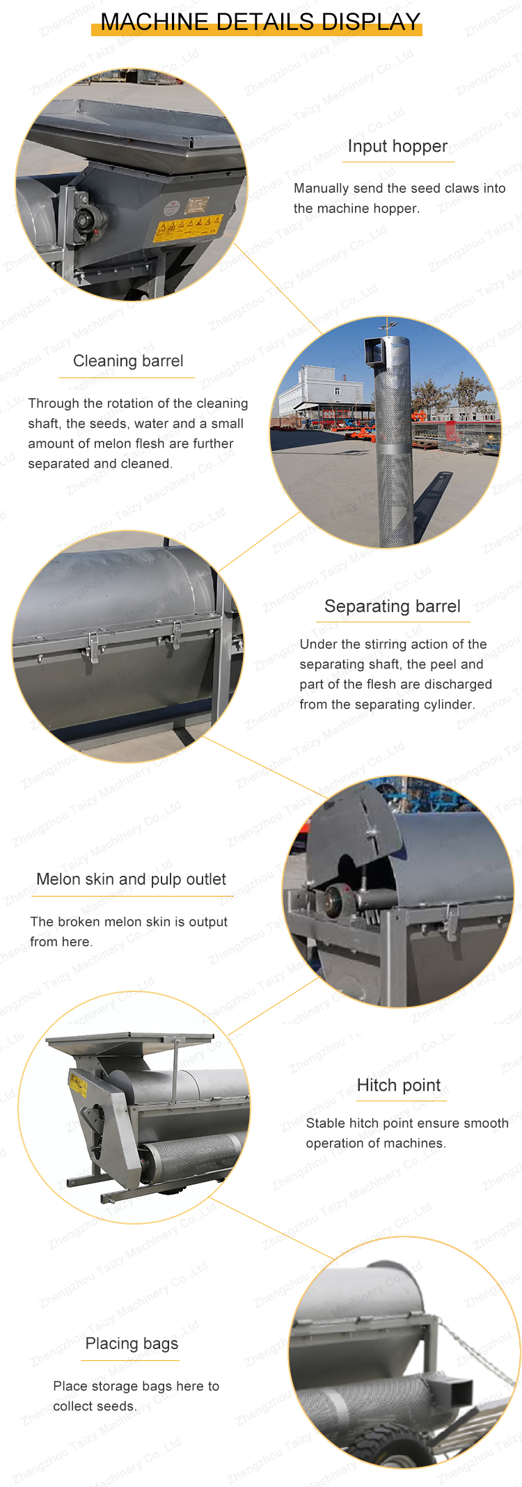 Pumpkin Processing Machinery - Efficient Fruit Peeling