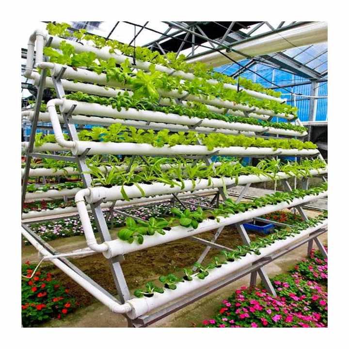 Lettuce Plant Nft Hydroponic System Grow Aeroponics Kit Pvc Tube Smart ...