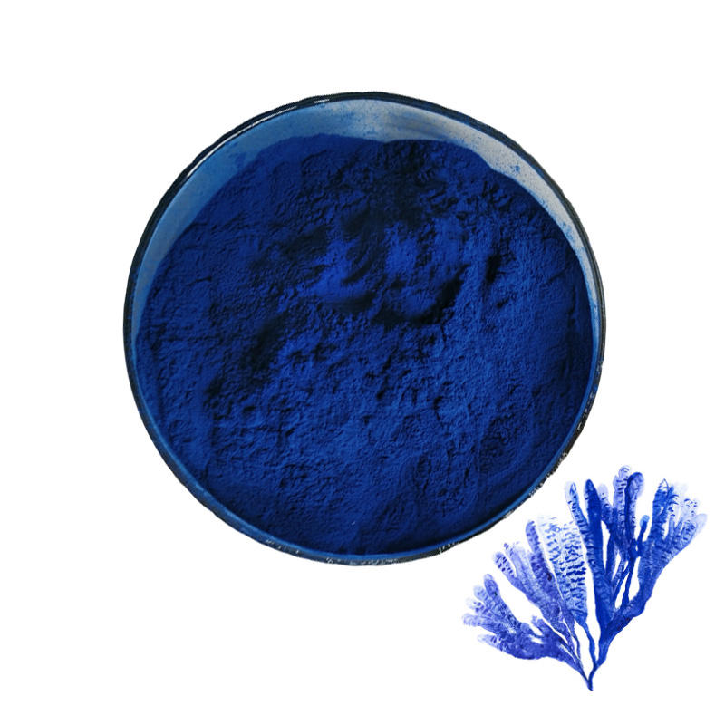 Bulk Wild Blue Spirulina Extract E18 Phycocyanin Powder Food Grade Leaf ...