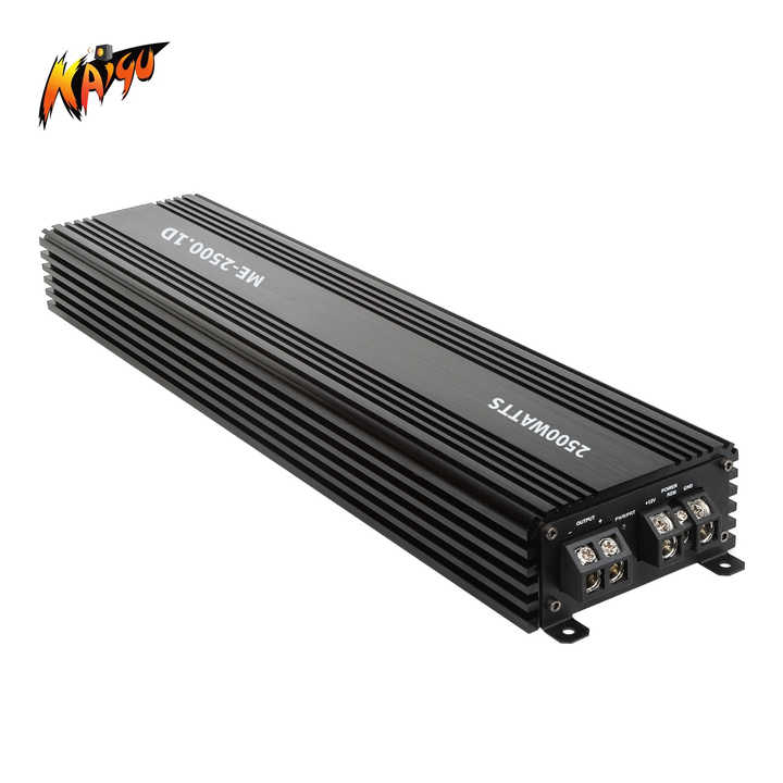 2500W Class D Monoblock Amplifier for Car Audio Excellence