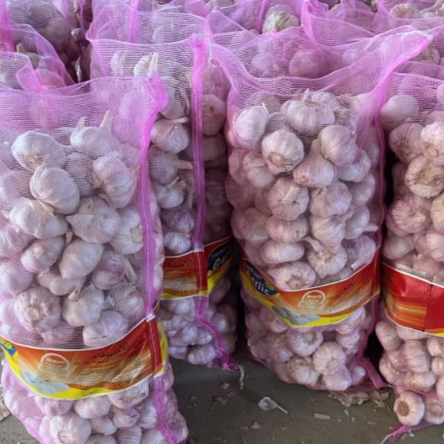 Garlic Price Egypt - Fresh & Dried Wholesale Supplie
