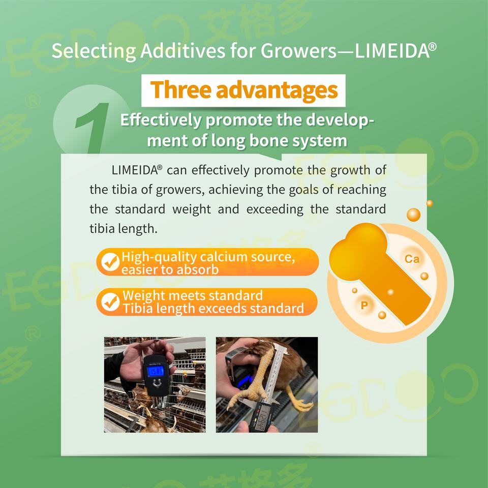 Animal Poultry Feed Additive 12kg/Bag Food Grade Amino Acids Premix for ...
