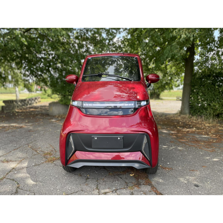 ELION X2 2024 EEC Certified High Quality New Energy Vehicle Electric ...