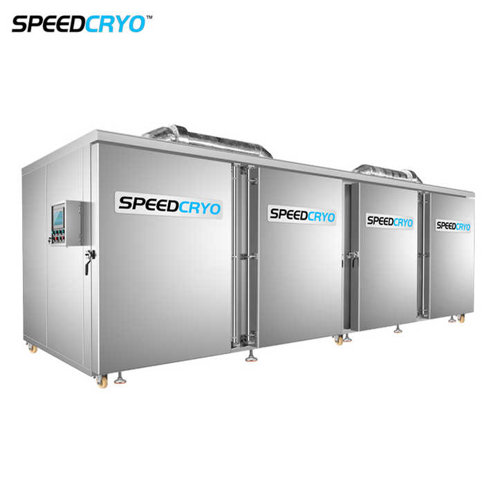 Cryogenic IQF Liquid Nitrogen Freezer for Durian Flash Freezing