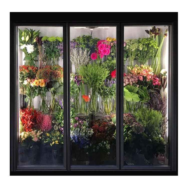 How to Choose the Best Glass Display for Flowers: A Complete Buying Guide