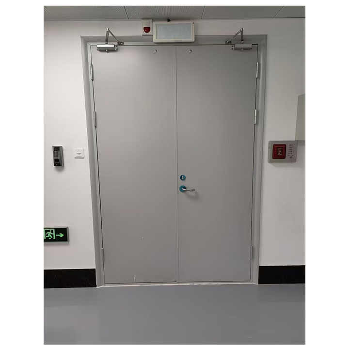 Hot Sale Contemporary Fire-Rated Stainless Steel Entry Door Modern ...