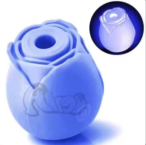 10 Modes Rose Vibrator Usa Gift Rose Vibrator Usb Charging Rose Toy ...